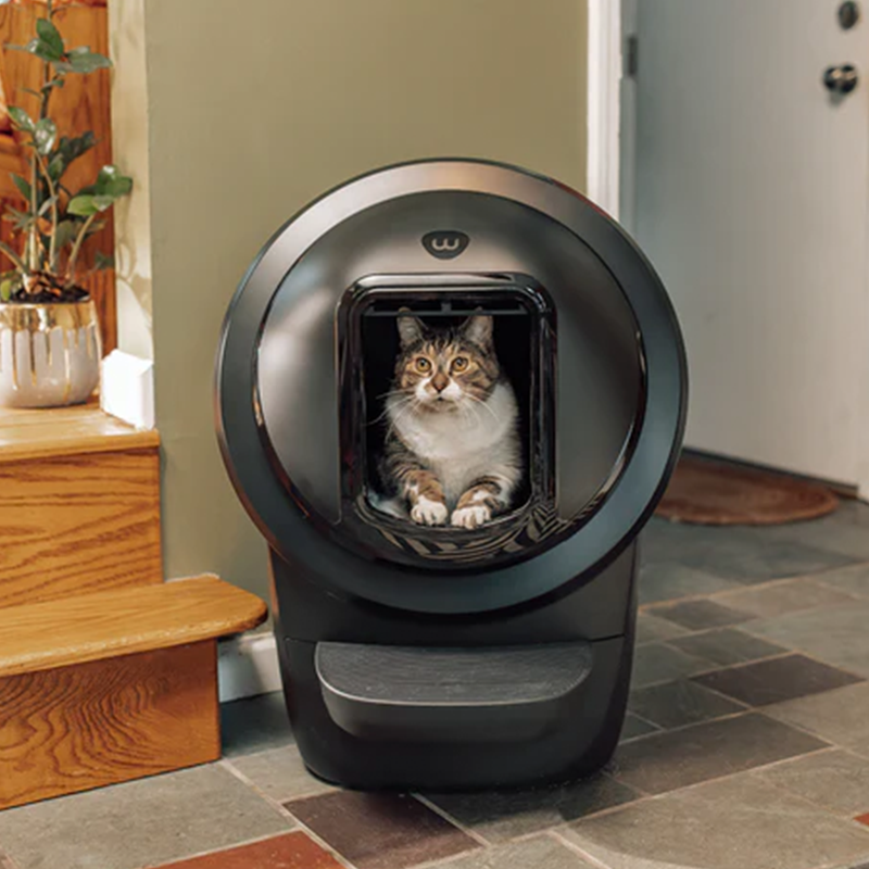 Buy Litter Robot 4 Shield | Cat Evolution