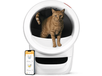 Understanding Why Your Cat Is Urinating Outside the Litter Box – Cat ...