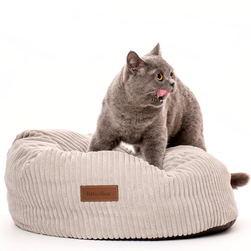 Litter-Robot™ Pet Pouf – Cat Evolution